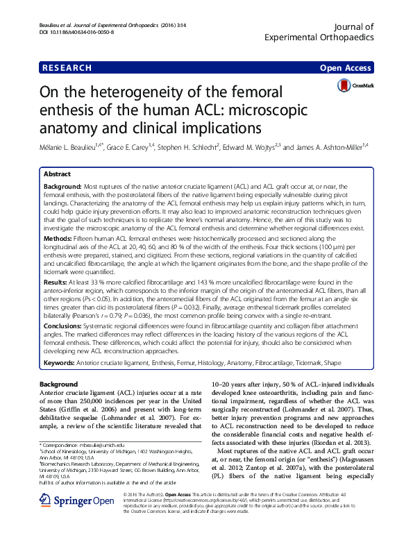 (PDF) On the heterogeneity of the femoral enthesis of the human ACL ...