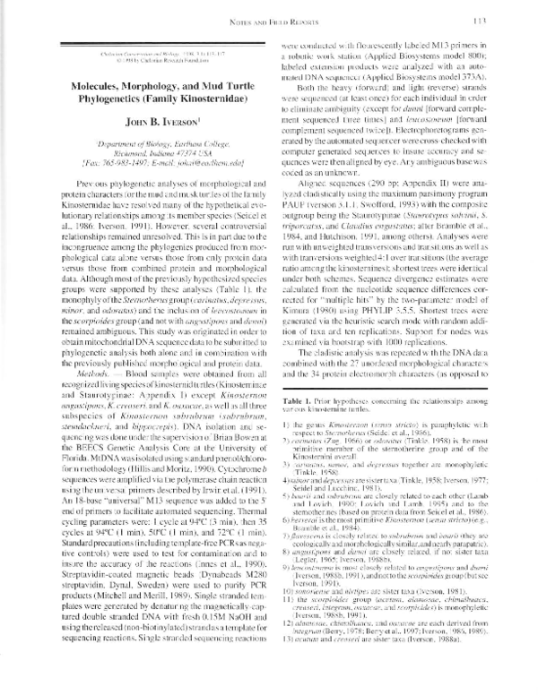 (PDF) Molecules, morphology, and mud turtle phylogenetics (family ...