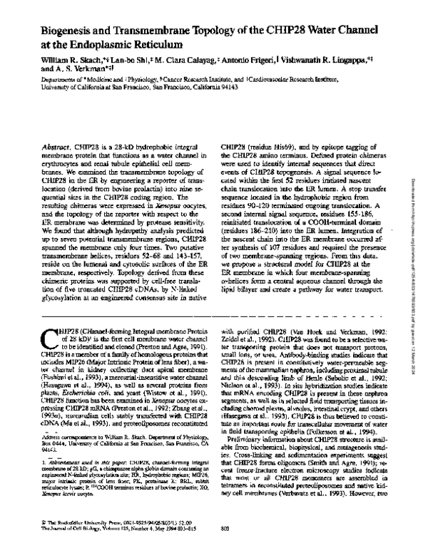 (PDF) Biogenesis and transmembrane topology of the CHIP28 water channel ...