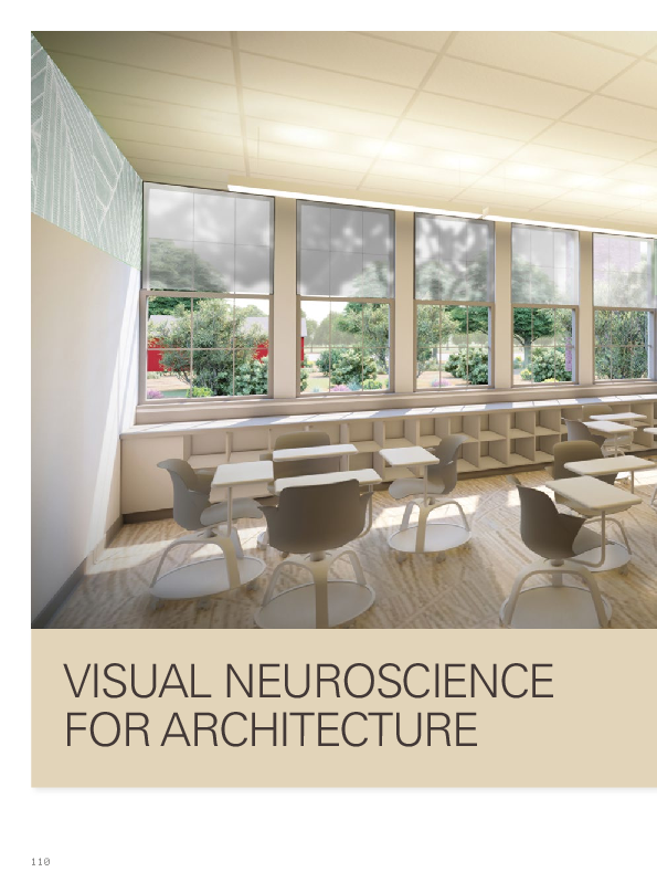 (PDF) Visual Neuroscience for Architecture: Seeking a New Evidence ...