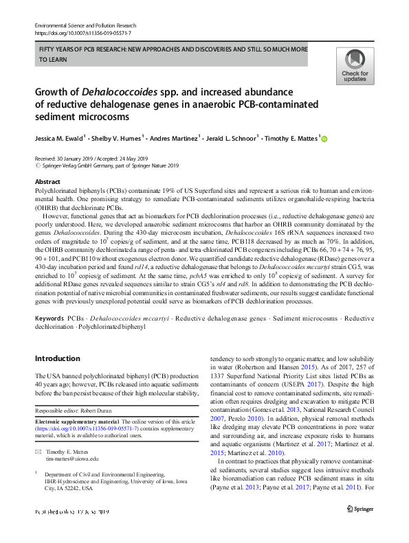 (PDF) Growth of Dehalococcoides spp. and increased abundance of ...
