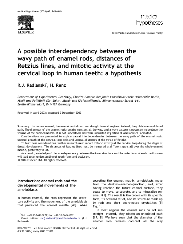 (PDF) A possible interdependency between the wavy path of enamel rods ...