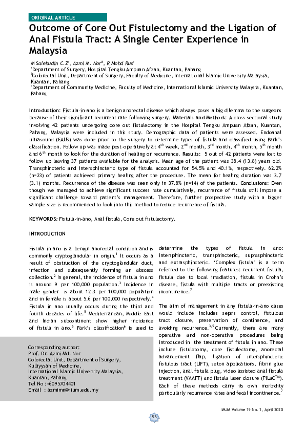 (PDF) Outcome of Core Out Fistulectomy and the Ligation of Anal Fistula ...
