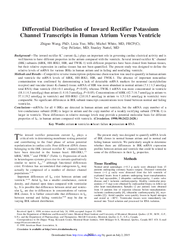 (PDF) Differential Distribution of Inward Rectifier Potassium Channel ...