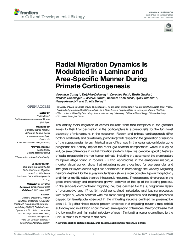(PDF) Radial Migration Dynamics Is Modulated in a Laminar and Area ...