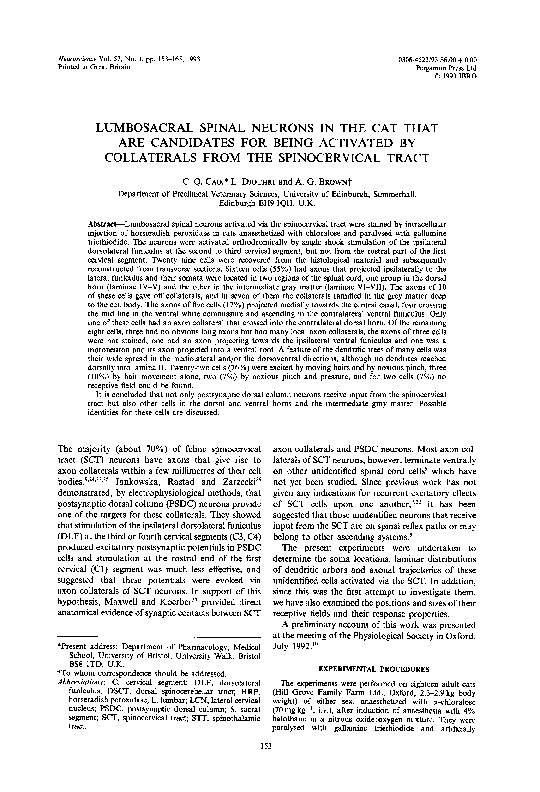 (PDF) Lumbosacral spinal neurons in the cat that are candidates for ...