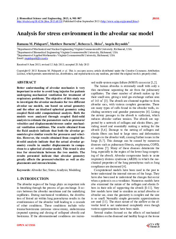 (PDF) Analysis for stress environment in the alveolar sac model