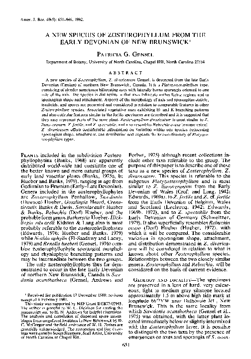 (PDF) A New Species of Zosterophyllum from the Early Devonian of New ...