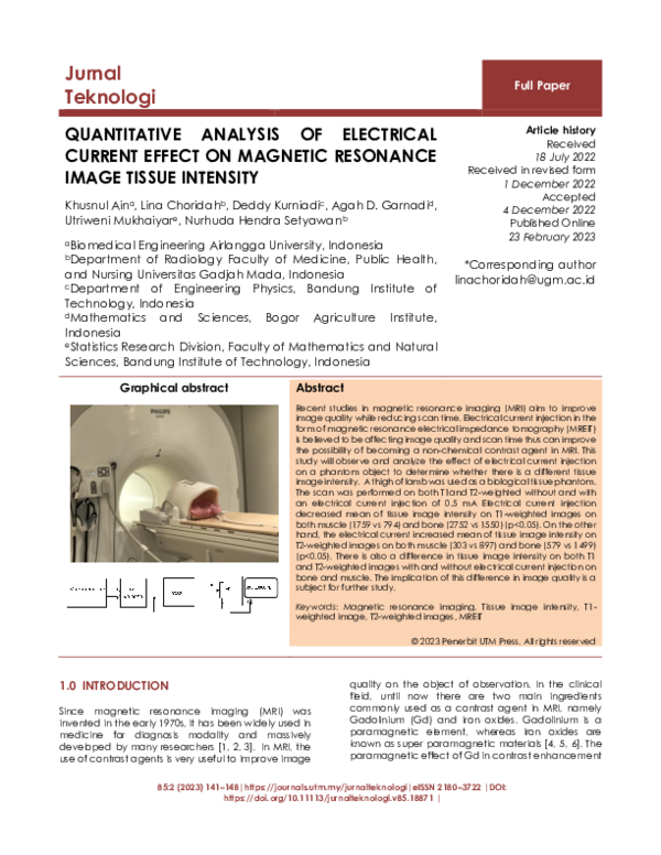 (PDF) Quantitative Analysis of Electrical Current Effect on Magnetic Resonance Image Tissue ...