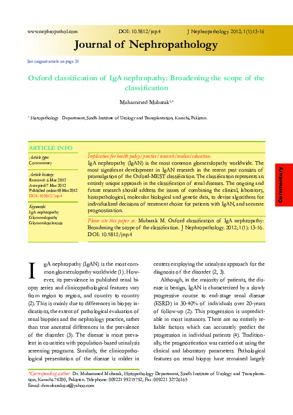 (PDF) Oxford classification of IgA nephropathy: Broadening the scope of ...