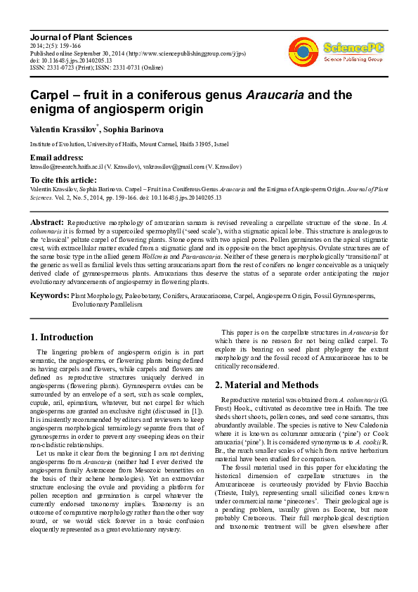 (PDF) Carpel – Fruit in a Coniferous Genus Araucaria and the Enigma of ...