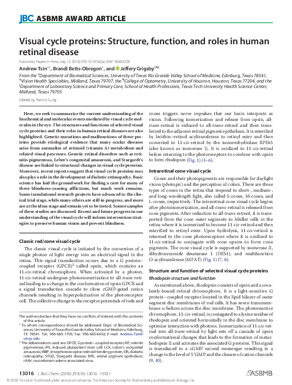 (PDF) Visual cycle proteins: Structure, function, and roles in human ...