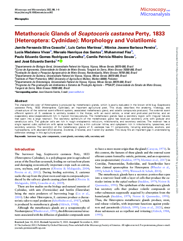 (PDF) Metathoracic Glands of Scaptocoris castanea Perty, 1833 ...