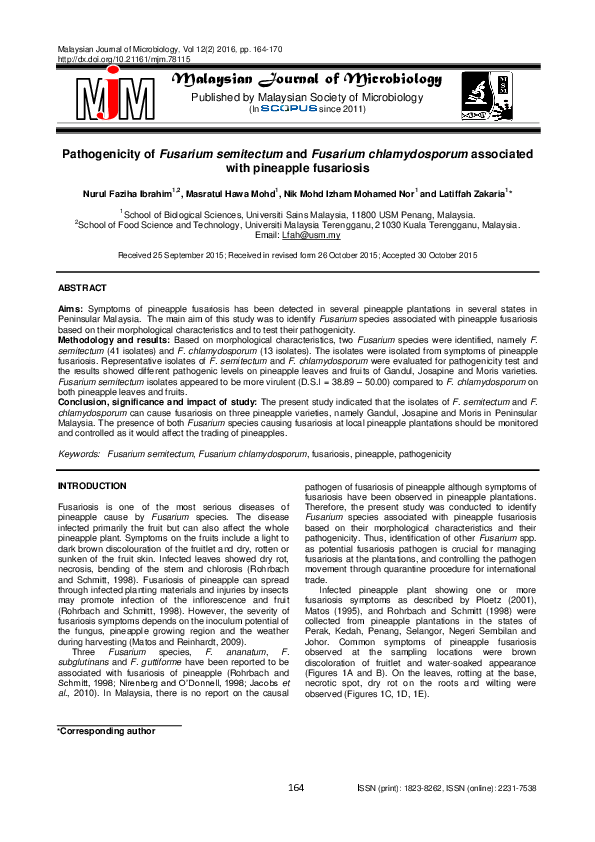 (PDF) Pathogenicity of Fusarium semitectum and Fusarium chlamydosporum ...