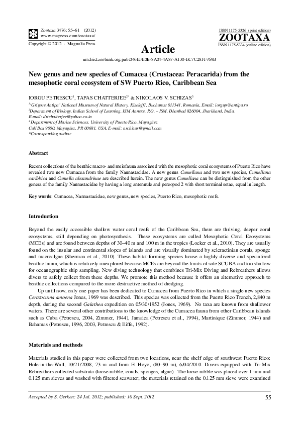 (PDF) New genus and new species of Cumacea (Crustacea: Peracarida) from ...