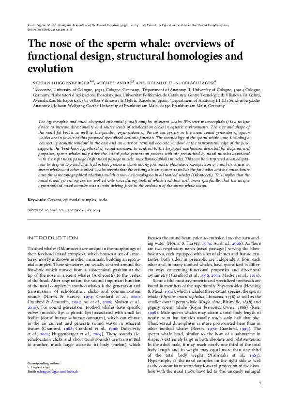 The nose of the sperm whale: overviews of functional design, structural ...