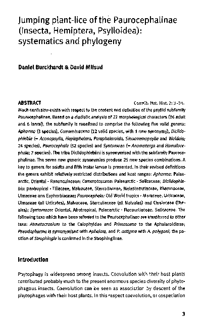 (PDF) Jumping plant-lice of the Paurocephalinae (Insecta, Hemiptera ...