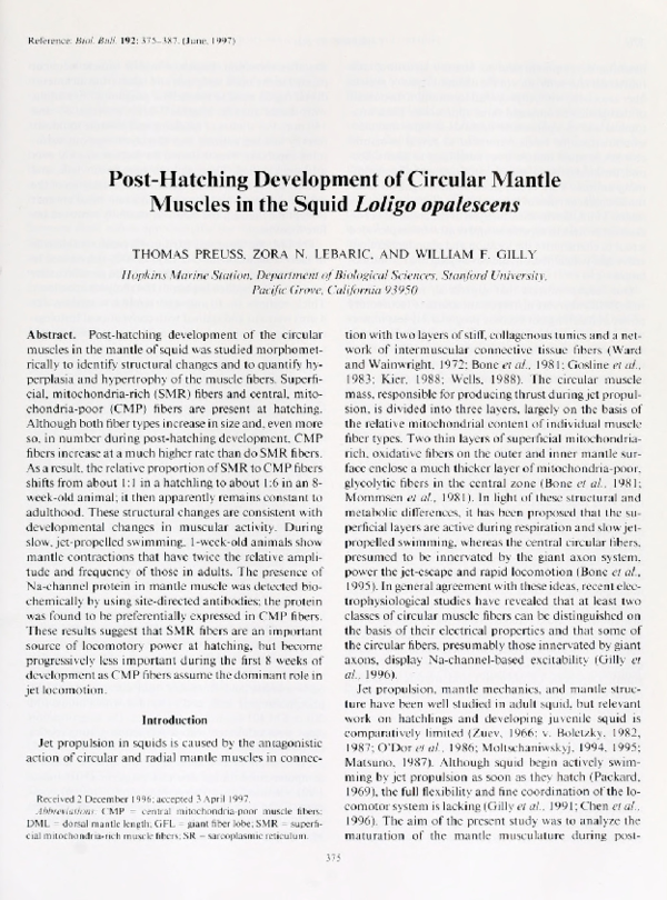 (PDF) Post-Hatching Development of Circular Mantle Muscles in the Squid ...