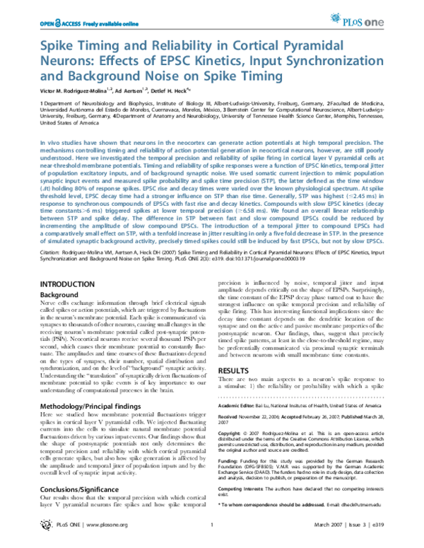 (PDF) Spike Timing and Reliability in Cortical Pyramidal Neurons ...