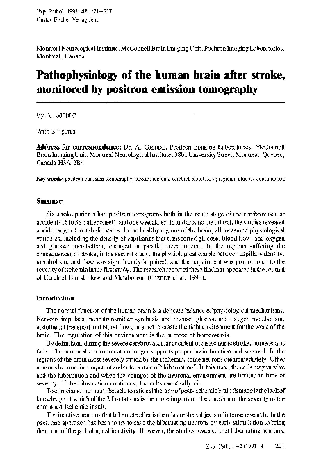 (PDF) Pathophysiology of the human brain after stroke, monitored by positron emission tomography
