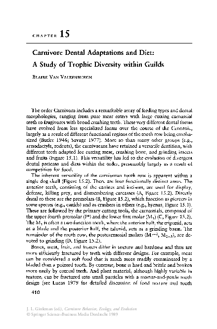 (PDF) Carnivore Dental Adaptations and Diet: A Study of Trophic ...