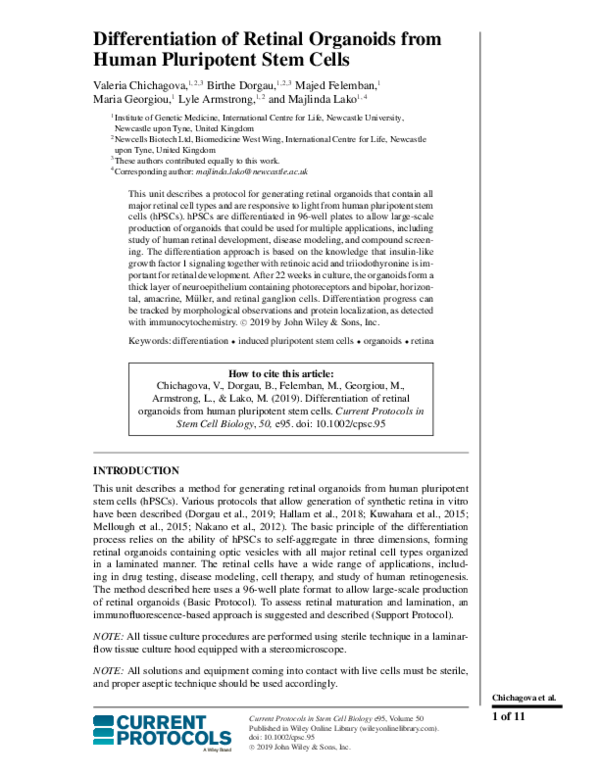(PDF) Differentiation of Retinal Organoids from Human Pluripotent Stem Cells