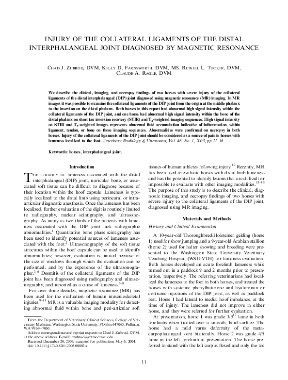 (PDF) Injury of the Collateral Ligaments of the Distal Interphalangeal ...