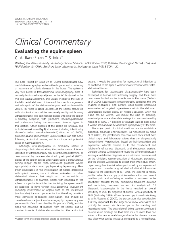 (PDF) Evaluating the equine spleen