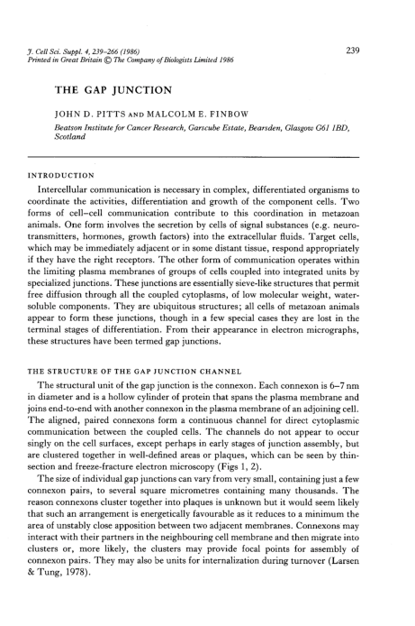 (PDF) The Gap Junction