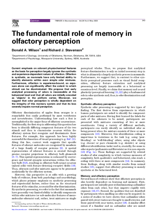 (PDF) The fundamental role of memory in olfactory perception