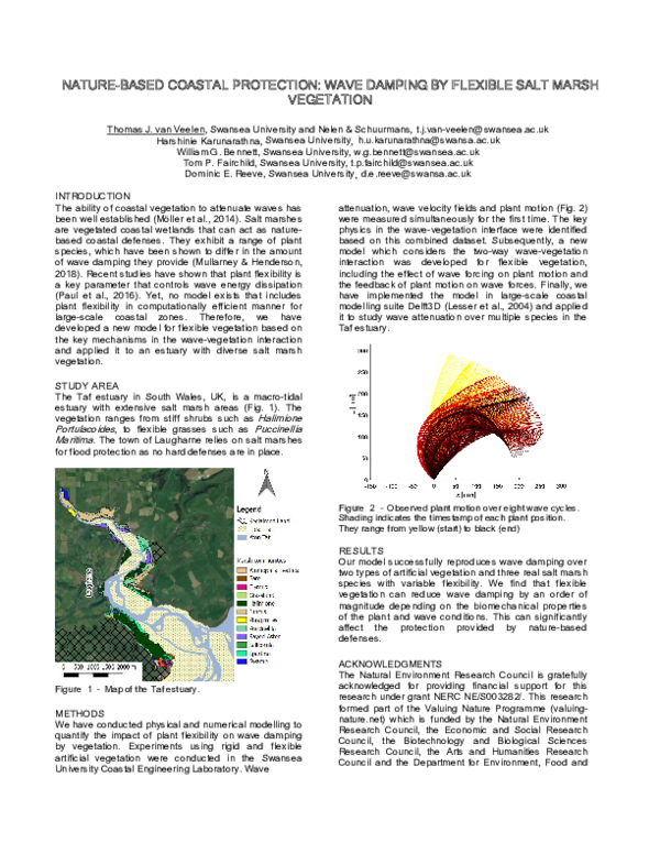 (PDF) Nature-Based Coastal Protection: Wave Damping by Flexible Salt ...