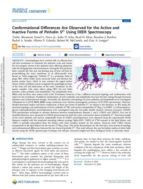 (PDF) Conformational Differences Are Observed for the Active and Inactive Forms of Pinholin S21 ...