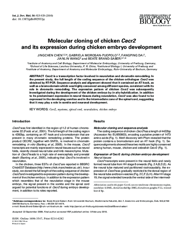 (PDF) Molecular cloning of chicken Cecr2 and its expression during ...