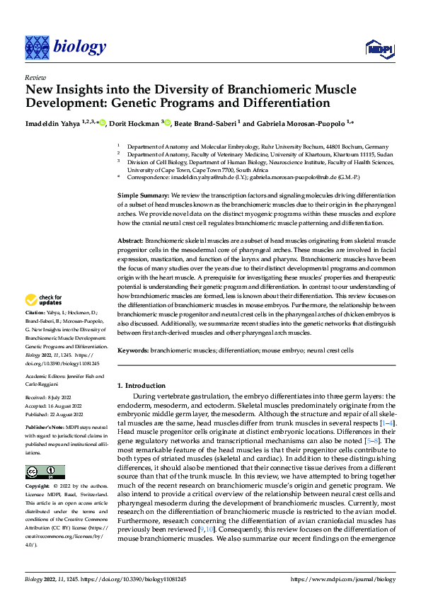 (PDF) New Insights into the Diversity of Branchiomeric Muscle ...