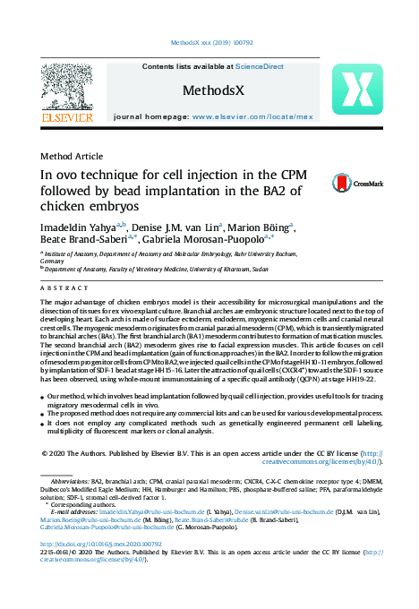 (PDF) In ovo technique for cell injection in the CPM followed by bead ...