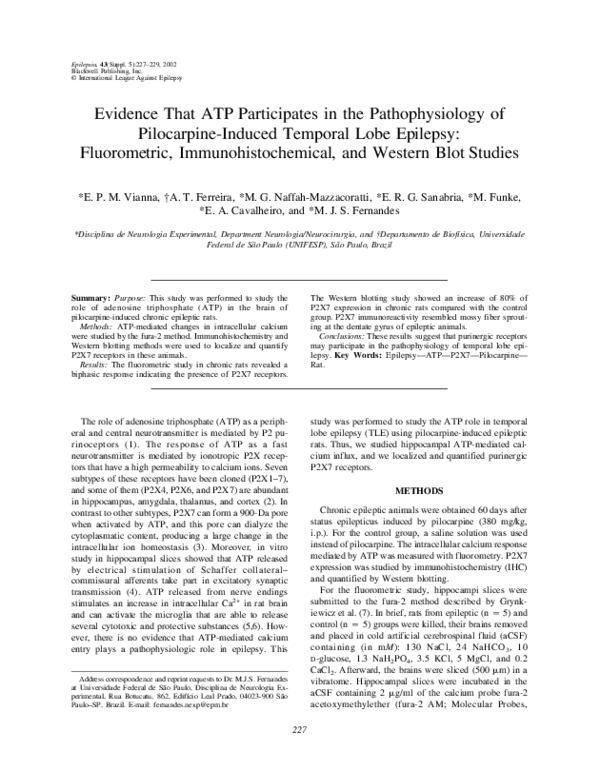 (PDF) Evidence That ATP Participates in the Pathophysiology of ...
