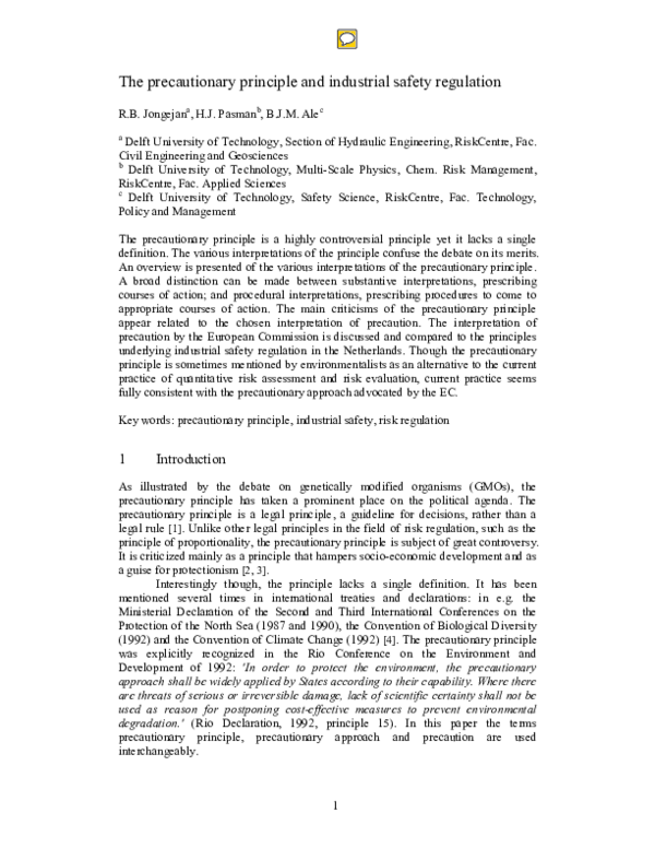 (PDF) The Precautionary Principle and Industrial Safety Regulation ...