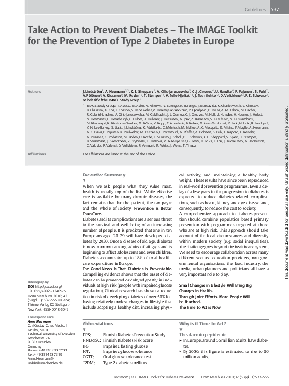 (PDF) Take Action to Prevent Diabetes – The IMAGE Toolkit for the ...