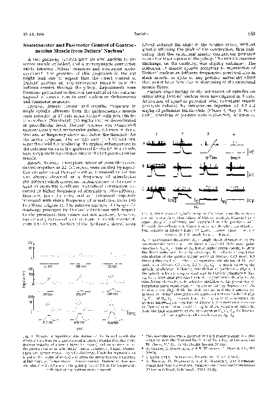 (PDF) Skeletomotor and fusimotor control of gastrocnemius muscle from ...