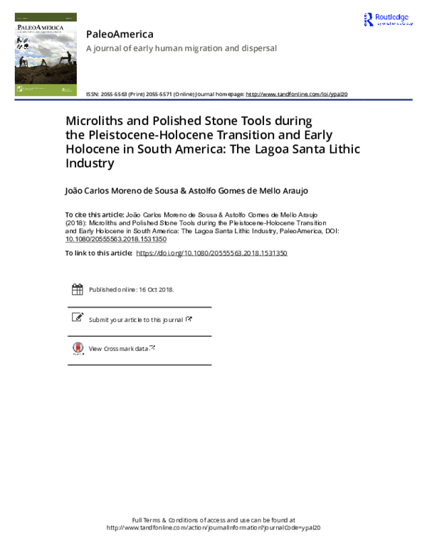 (PDF) Microliths and Polished Stone Tools during the Pleistocene ...