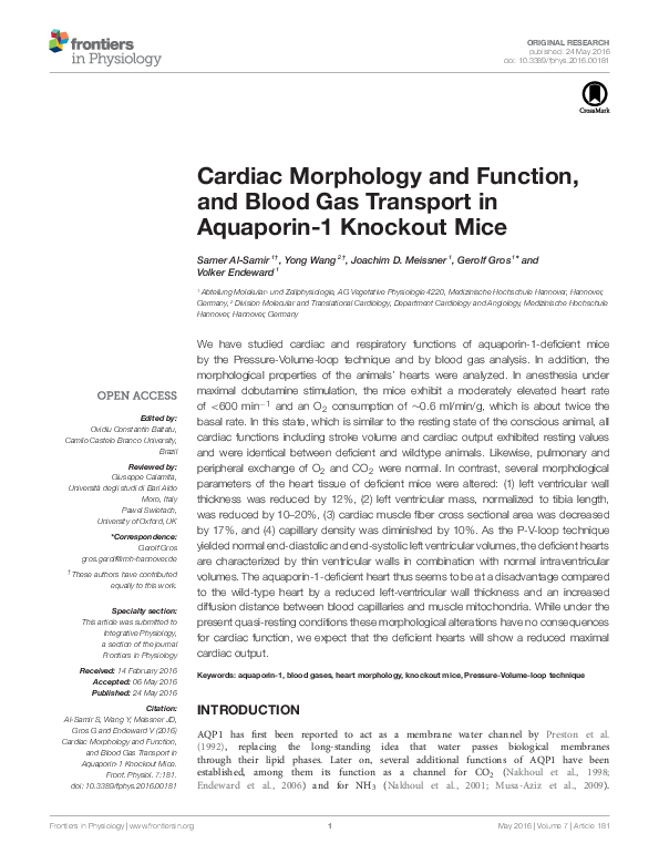 (PDF) Cardiac Morphology and Function, and Blood Gas Transport in ...