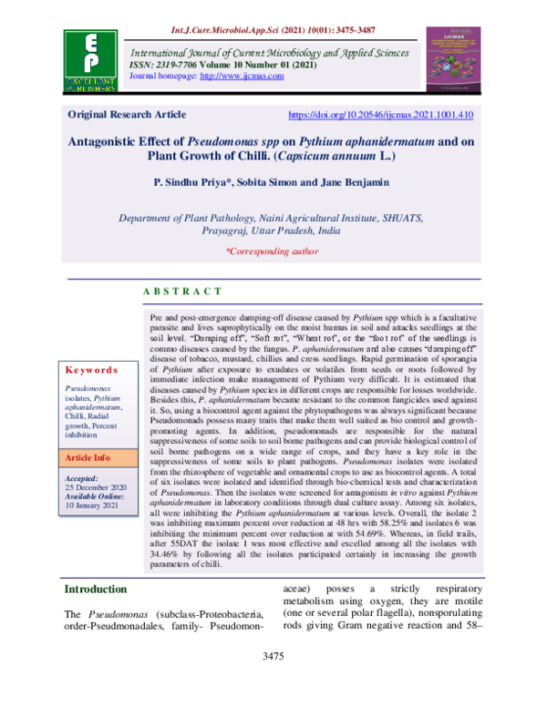 Pdf Antagonistic Effect Of Pseudomonas Spp On Pythium Aphanidermatum And On Plant Growth Of
