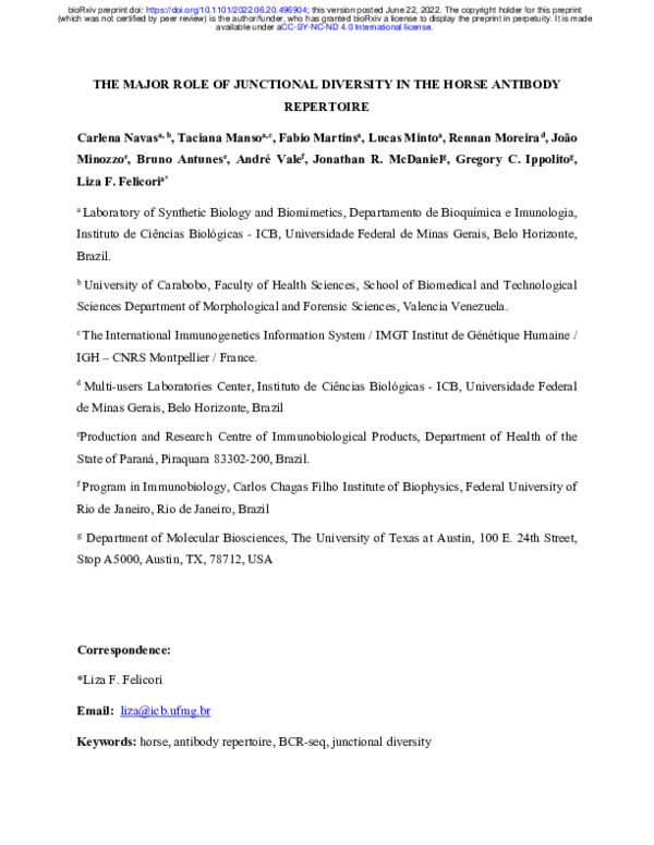(PDF) The Major Role of Junctional Diversity in the Horse Antibody ...