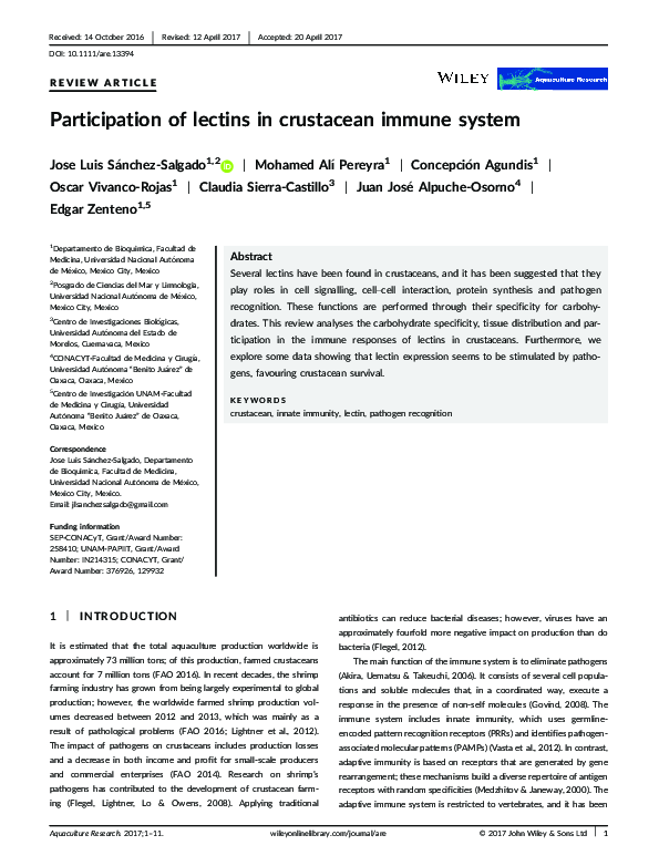 (PDF) Participation of lectins in crustacean immune system