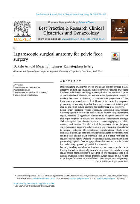 (PDF) Laparoscopic surgical anatomy for pelvic floor surgery