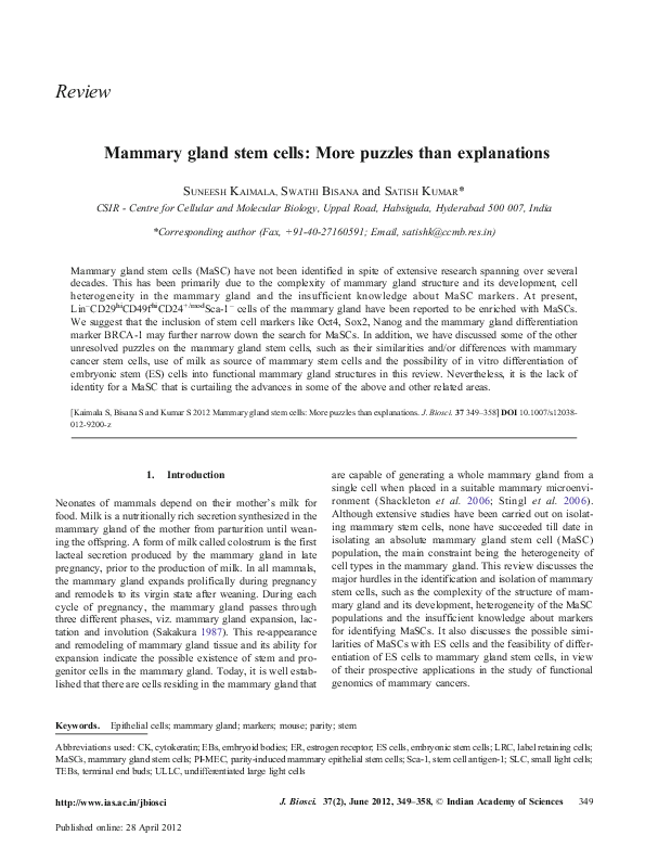 (PDF) Mammary gland stem cells: More puzzles than explanations
