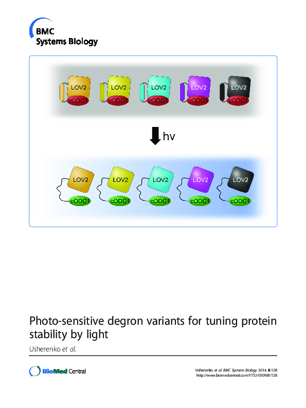 (PDF) Photo-sensitive degron variants for tuning protein stability by light | Lars-Oliver Essen ...