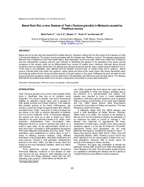 (PDF) Basal Root Rot, a new Disease of Teak (Tectona grandis) in ...