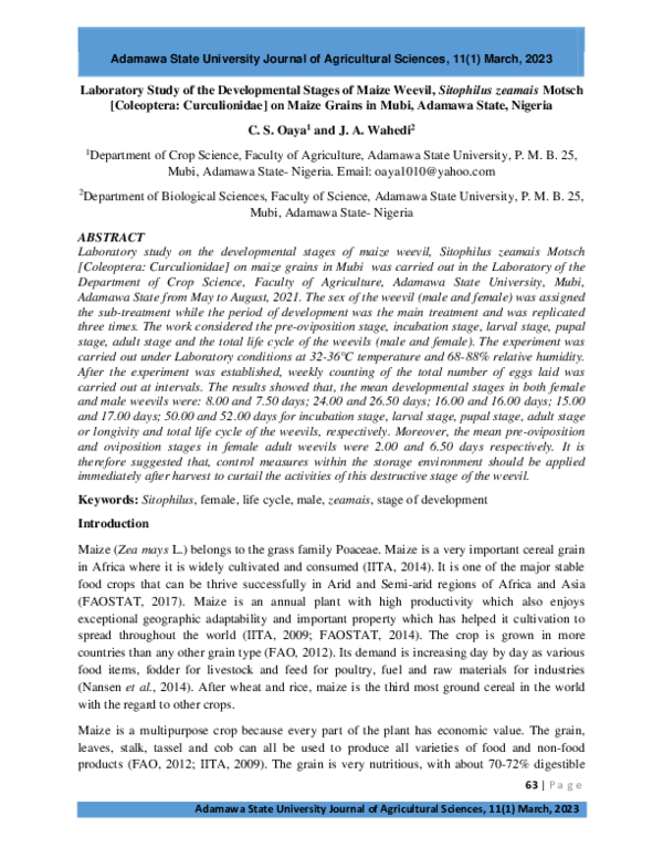 (PDF) Laboratory Study of the Developmental Stages of Maize Weevil ...