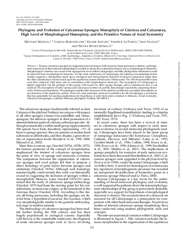 (PDF) Phylogeny and evolution of calcareous sponges: monophyly of calcinea and calcaronea, high ...